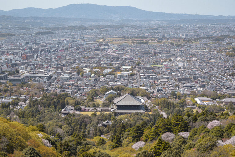 Visiter Nara en 1 jour depuis Kyoto/Osaka | Les incontournables