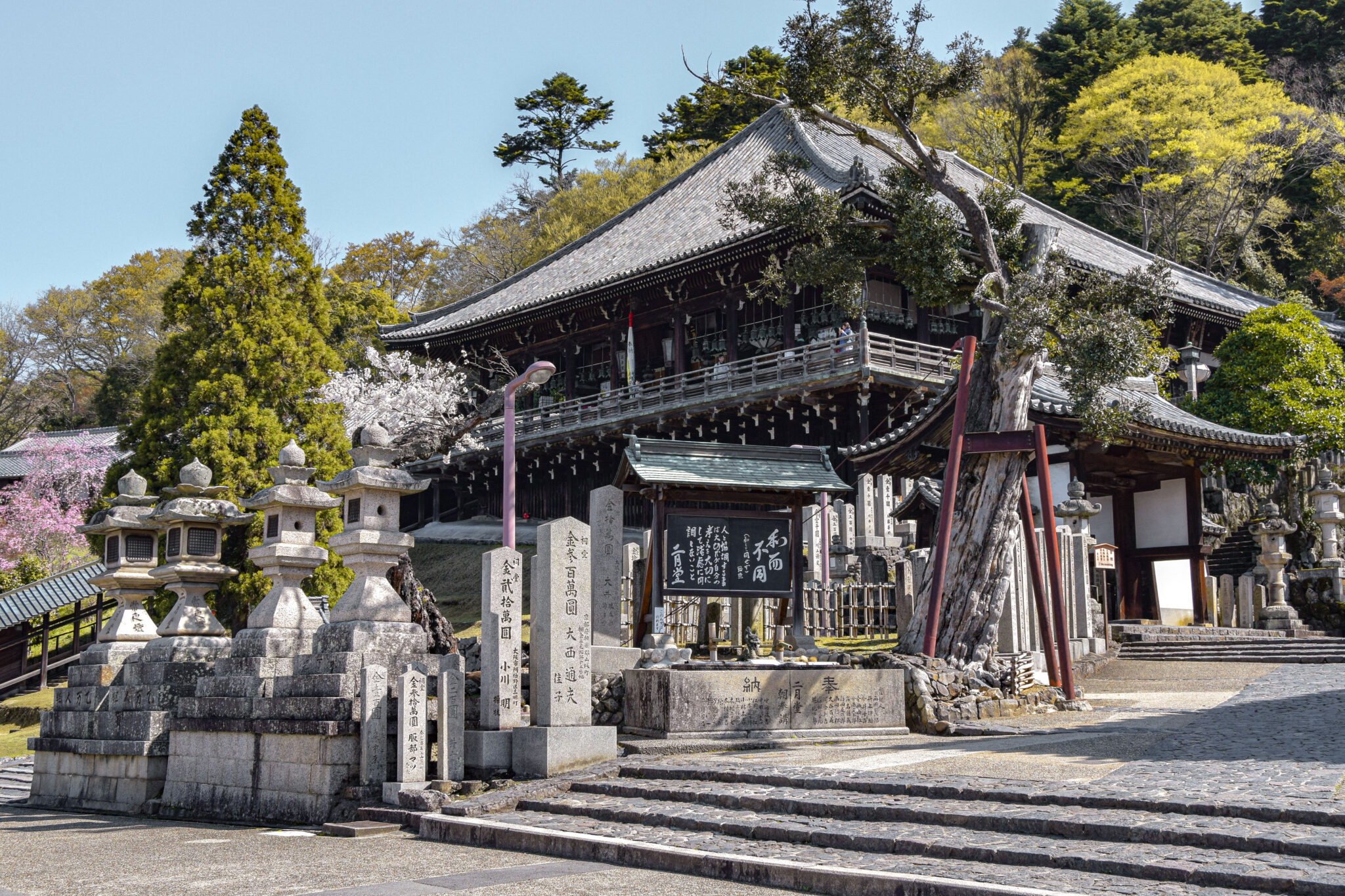 Visiter Nara en 1 jour depuis Kyoto/Osaka | Les incontournables