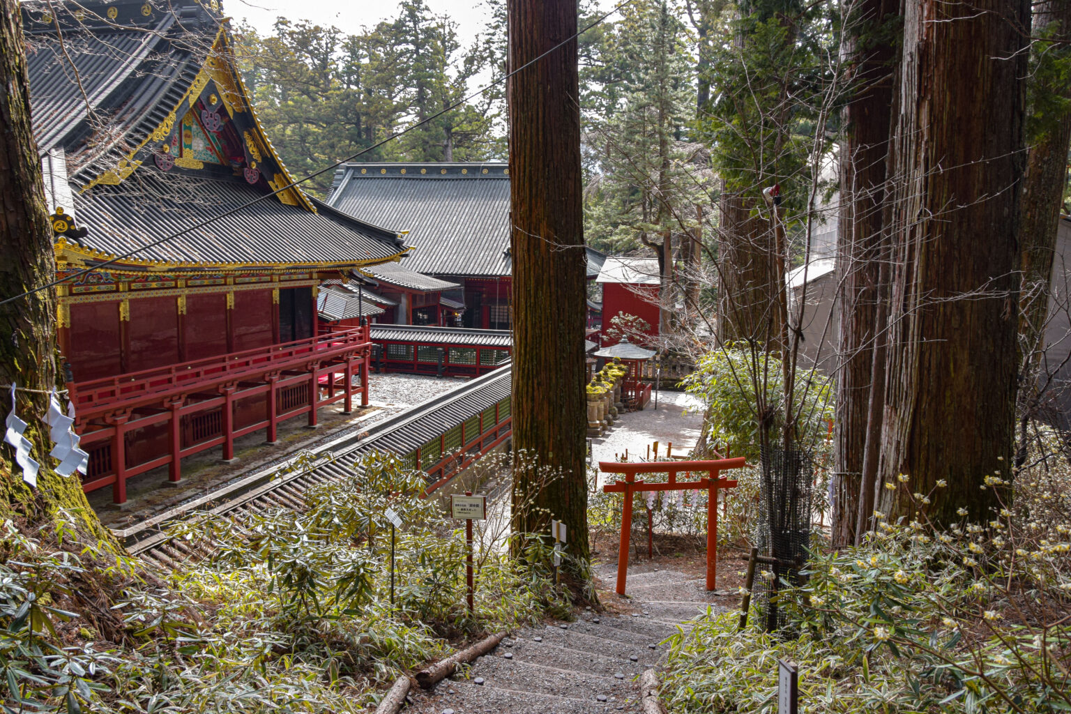 1 journée à Nikko depuis Tokyo | Les incontournables