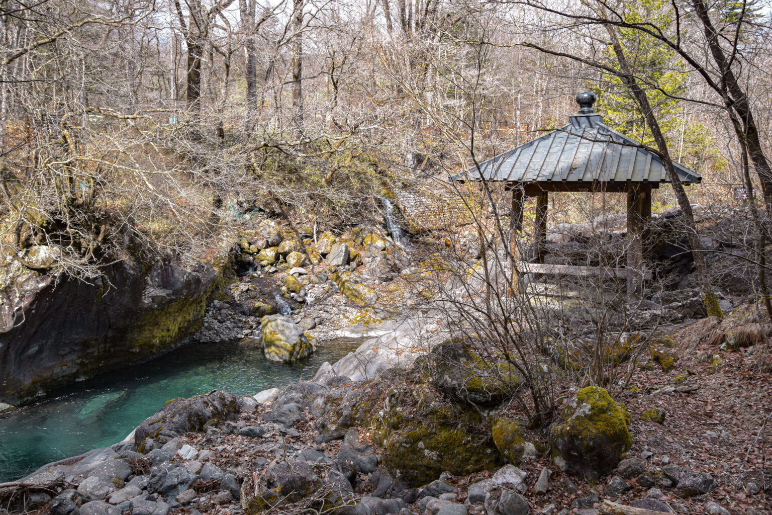 1 journée à Nikko depuis Tokyo | Les incontournables